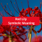 Red Lily Symbolic Meaning