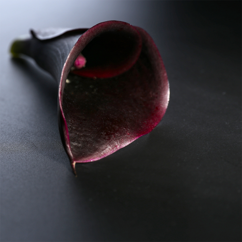 Black Lily Meaning