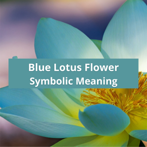 Red Lotus Flowers: Symbolic Meaning and Symbolism - Symbolic Meaning Of ...