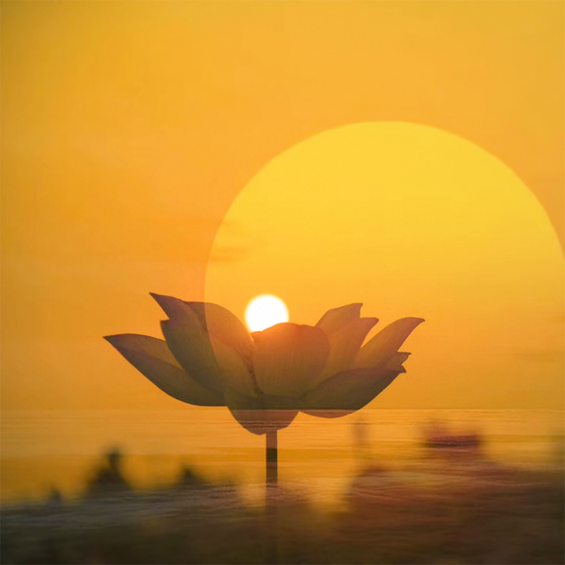 Golden Lotus Flower Symbolic Meaning & Spiritual Symbolism