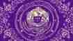 New Jersey State Flower: Violet Meaning and Symbolism