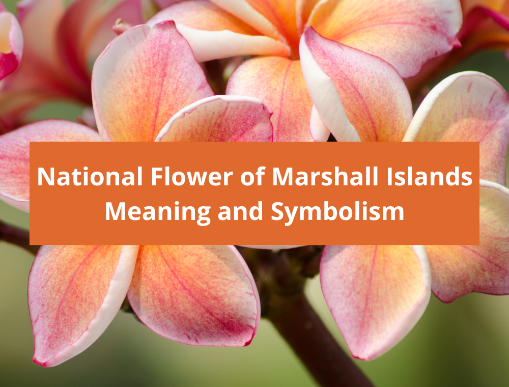 What is the national flower of Marshall Islands, Meaning and Symbolism