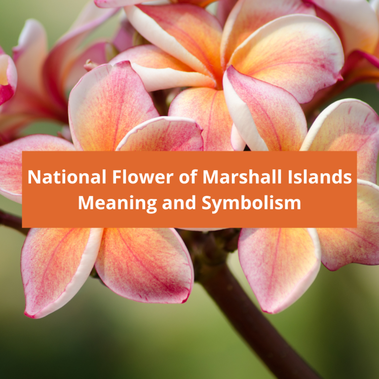 What is the national flower of Malta, Meaning and Symbolism
