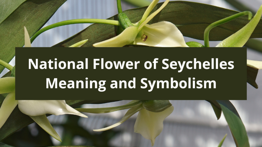What is the national flower of Seychelles, Meaning and Symbolism