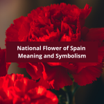 What is the national flower of South Sudan, Meaning and Symbolism