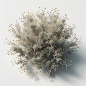 What is the National Flower of Saudi Arabia,Meaning and Symbolism?