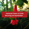 What is the national flower of Chad, Meaning and Symbolism