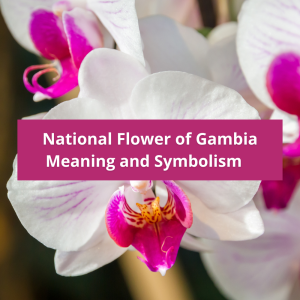 What is the national flower of Germany, Meaning and Symbolism