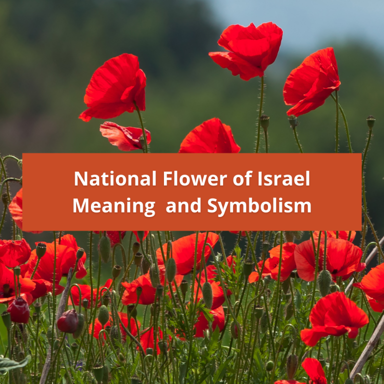 What is the national flower of Jamaica, Meaning and Symbolism