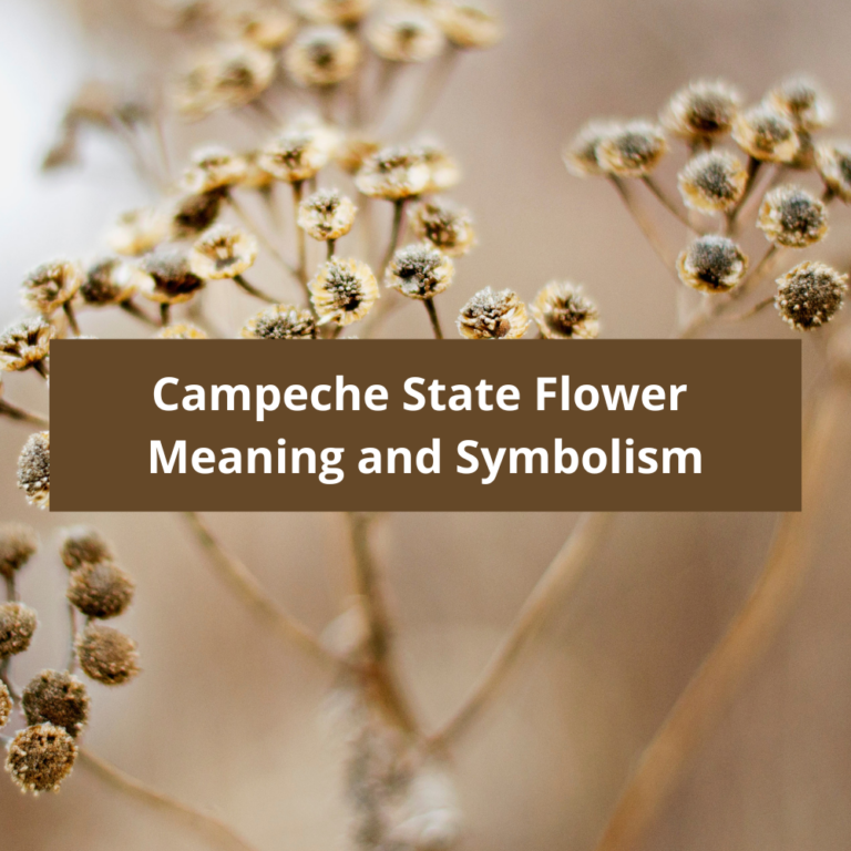 Chiapas State Flower: Meaning and Symbolism