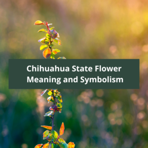 Chiapas State Flower: Meaning and Symbolism