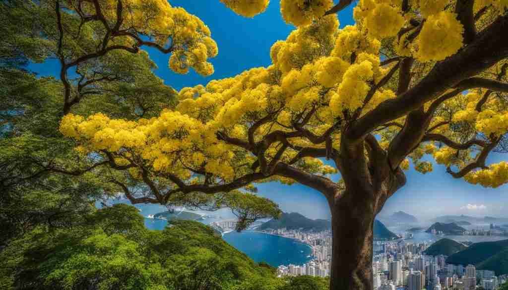 Rio de Janeiro State Flower: Meaning and Symbolism