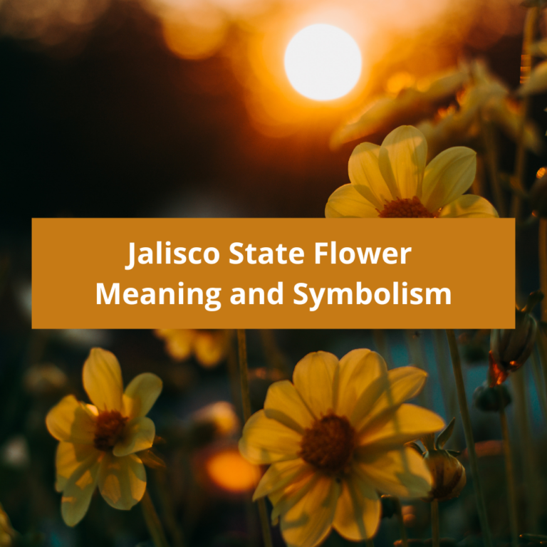 México City (Federal District) State Flower: Meaning and Symbolism