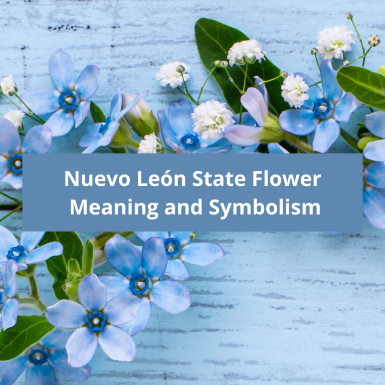 Oaxaca State Flower: Meaning and Symbolism
