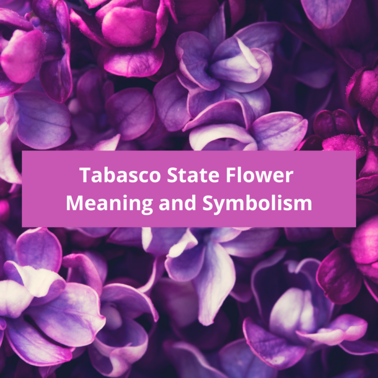 Sonora State Flower: Meaning and Symbolism