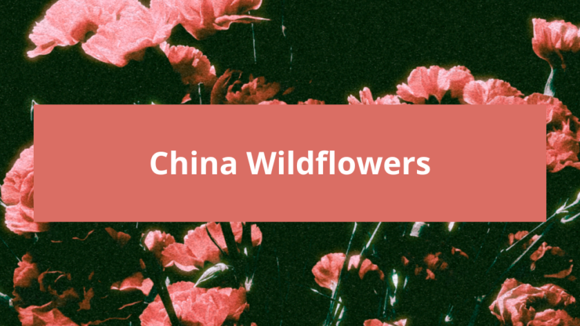 China Wildflowers