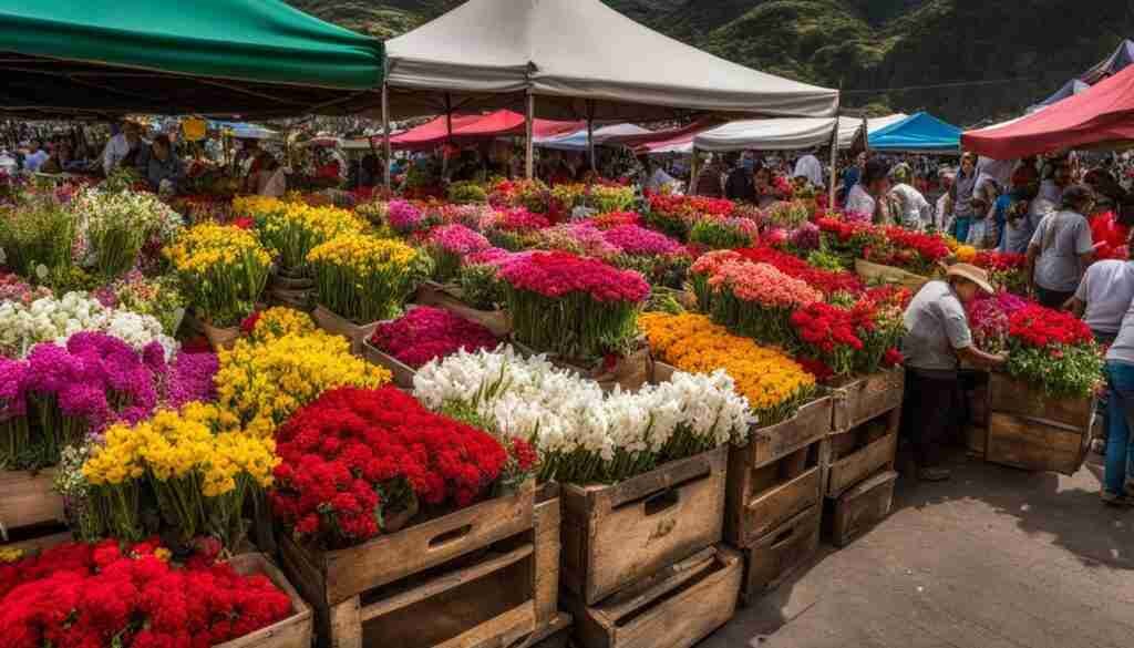 Colombia Wildflowers