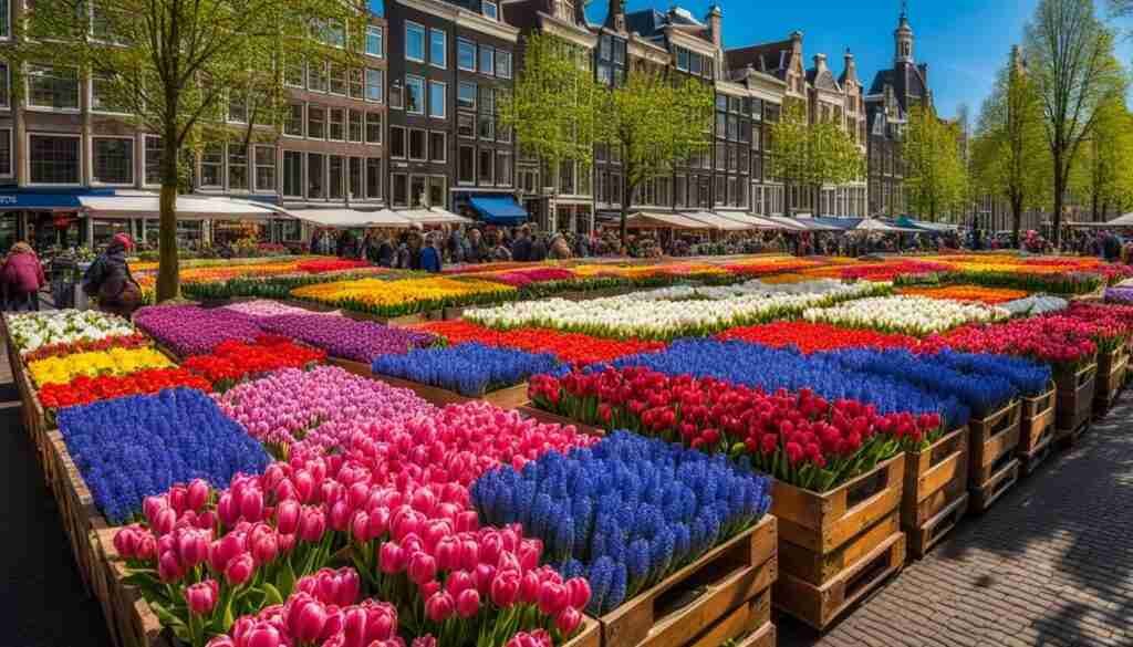 Netherlands Wildflowers