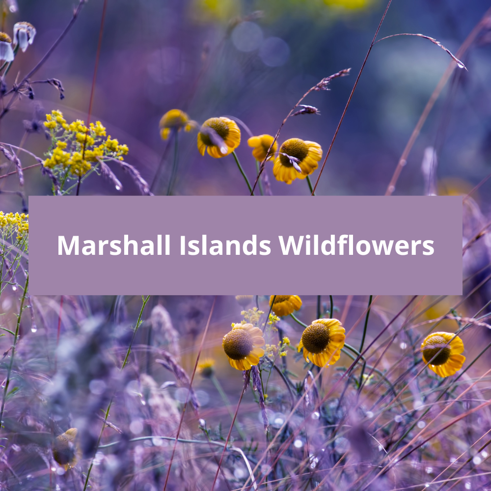 Marshall Islands Wildflowers