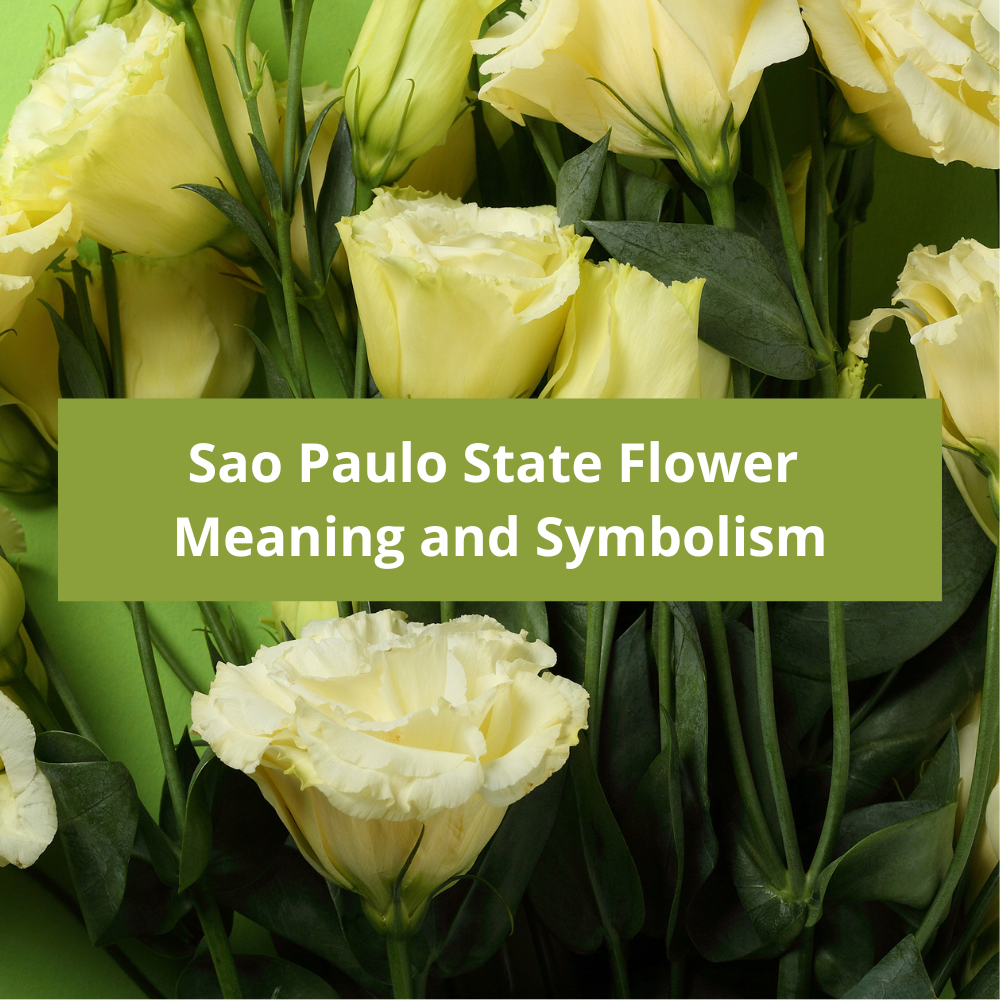 São Paulo State Flower: Meaning and Symbolism