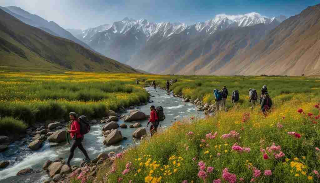 Iran Wildflowers