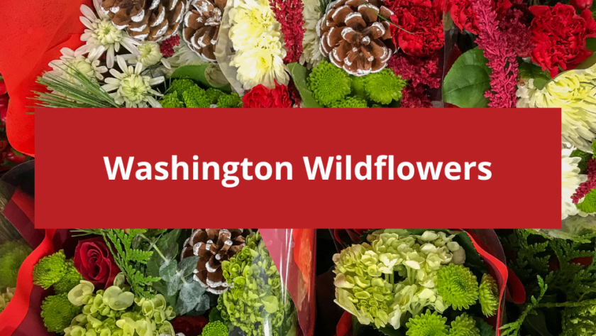 Washington Wildflowers