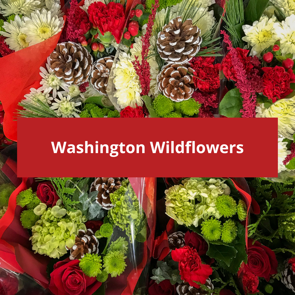 Washington Wildflowers