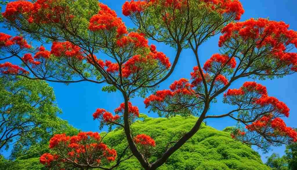 Red Flowers in Cuba