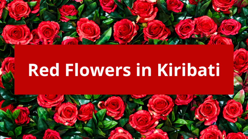 Red Flowers in Kiribati