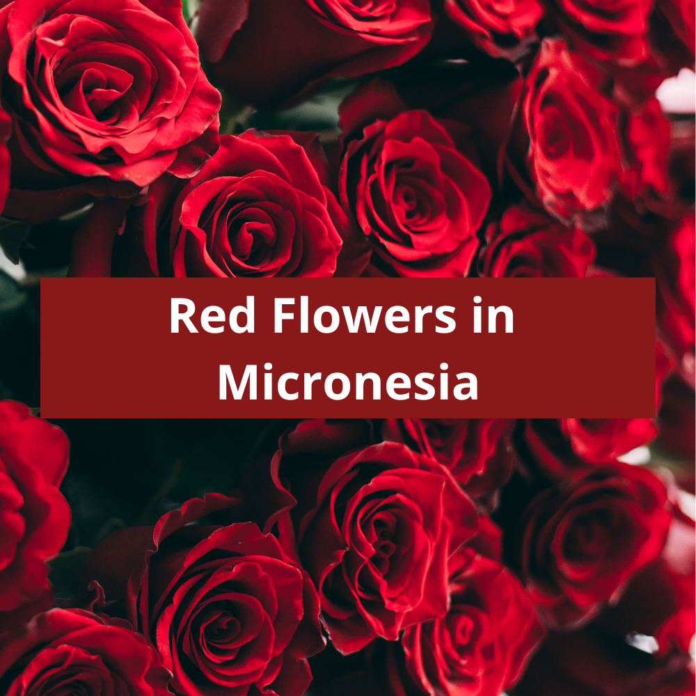 Red Flowers in Micronesia