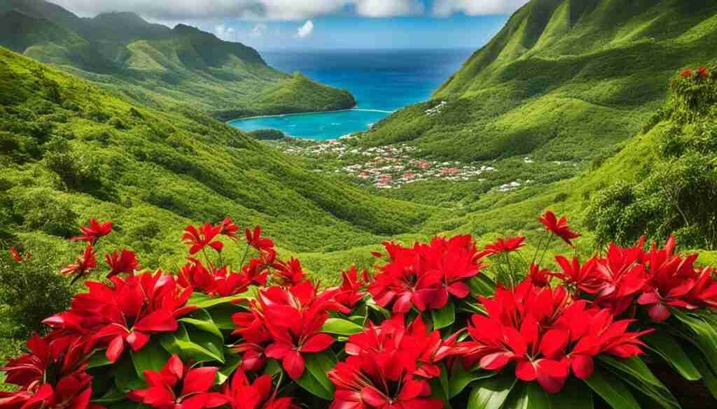 Red Flowers in Grenada