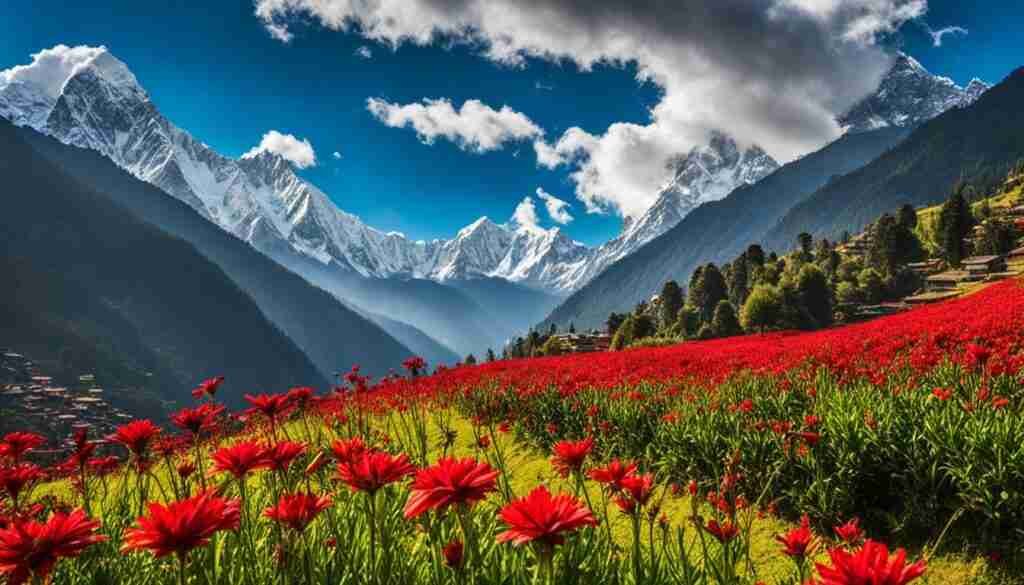 Red Flowers in Nepal