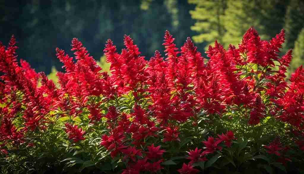 Red Flowers in New Hampshire
