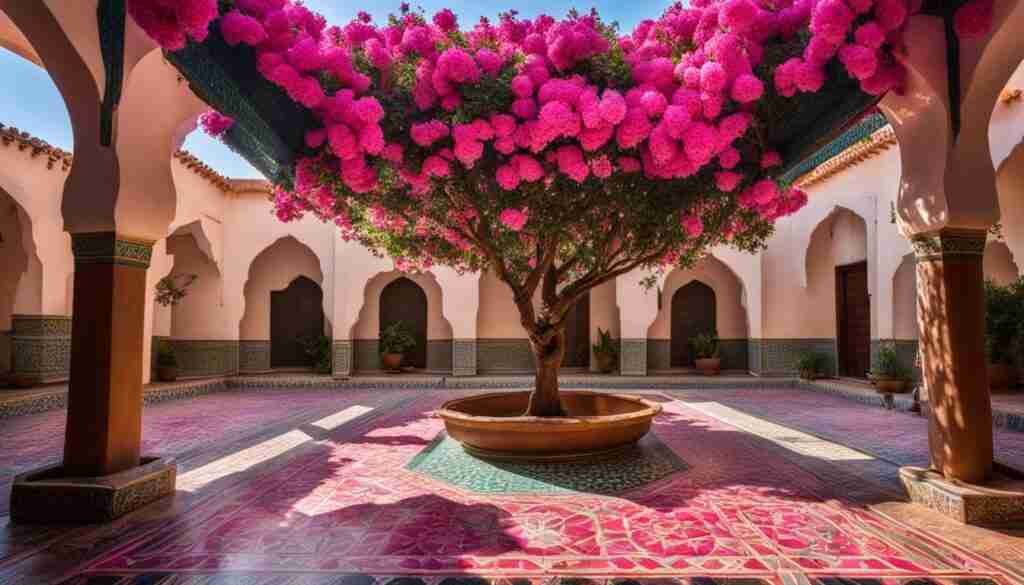 Pink Flowers in Morocco
