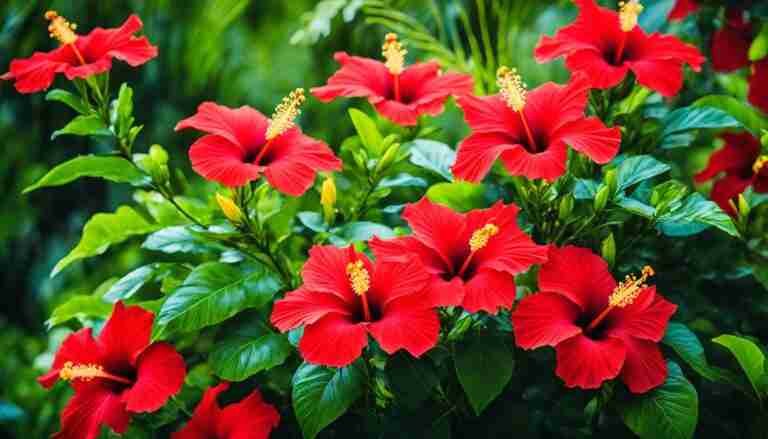 Red Flowers in Micronesia